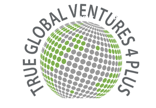 True Global Ventures invests a total of $38M in Hong Kong's Animoca ...