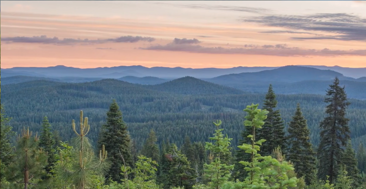 Australia's New Forests announces first close of SE Asia-focused fund ...