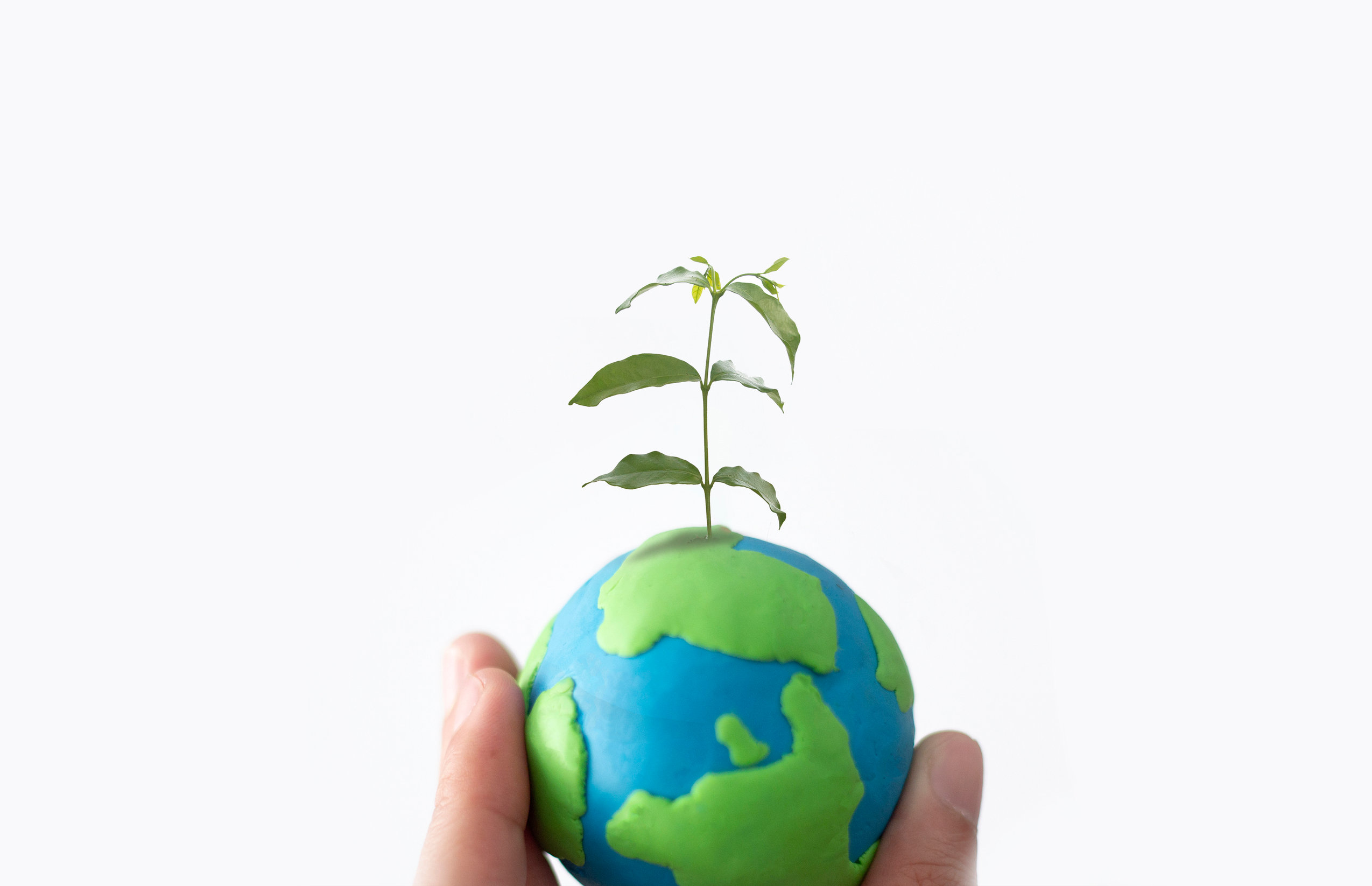 The social imperative for start-ups to grow - TNGlobal