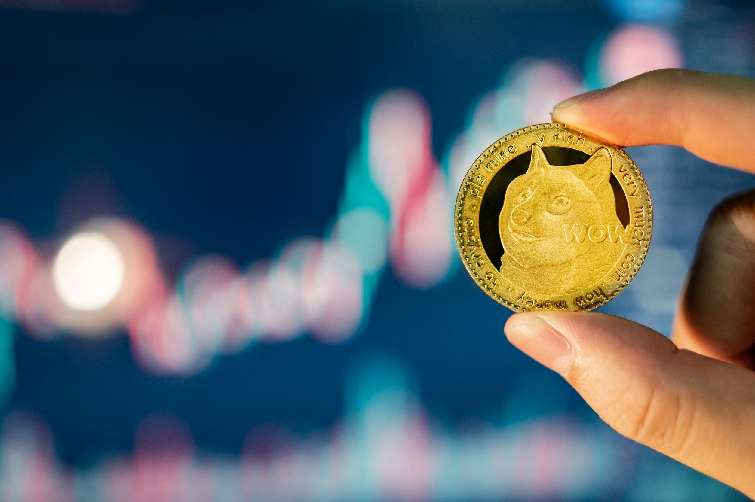 What causes meme coins to have their parabolic runs? - TNGlobal