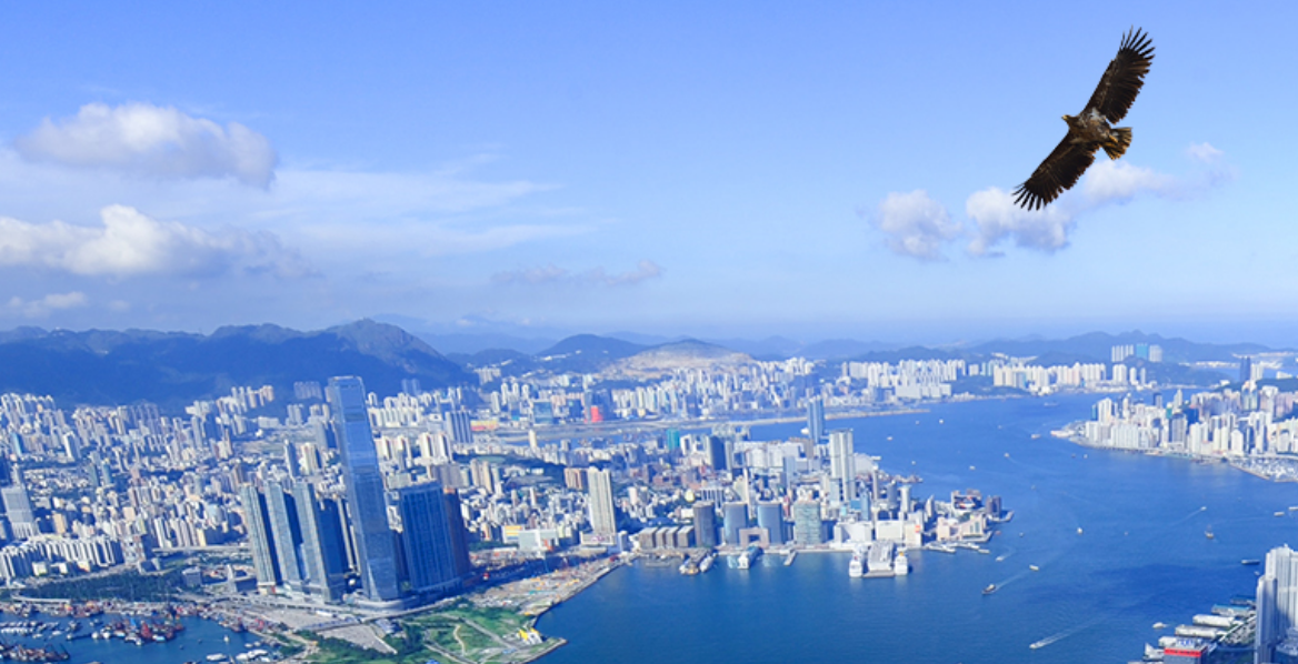 SFC consults on proposals to regulate virtual asset trading platforms ...