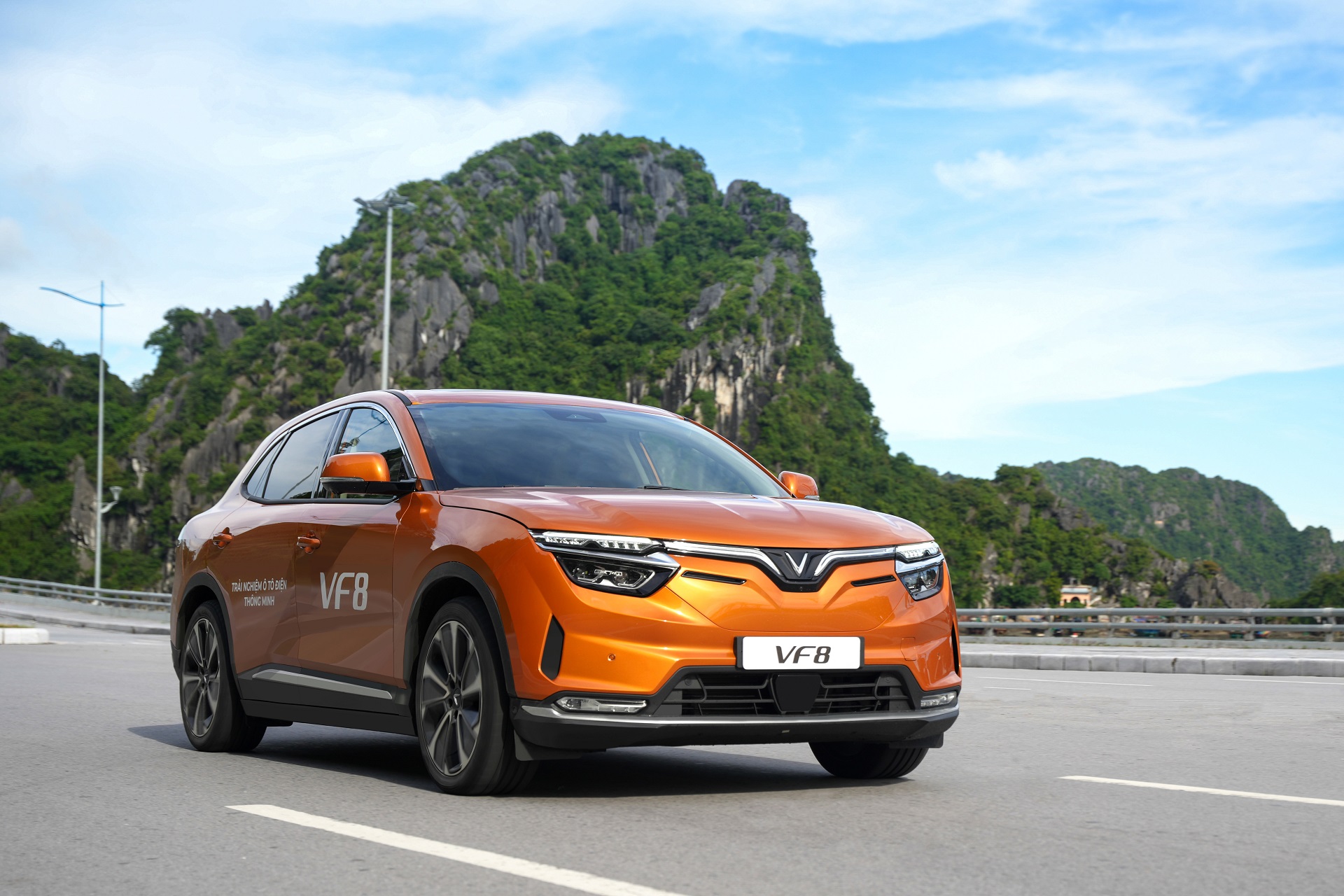 Vingroup Chairman establishes electric vehicle rental and taxi service ...