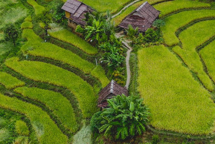 Wavemaker Impact, Breakthrough Energy Ventures, GenZero, and Temasek ...