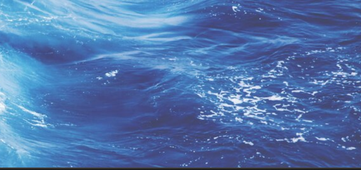 Asian digital media firm TNL Mediagene to list in United States via ...