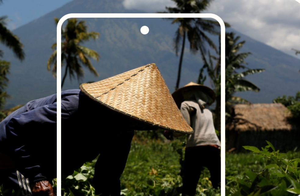 Singapore-based agritech firm DayaTani secures $2.3M seed round ...