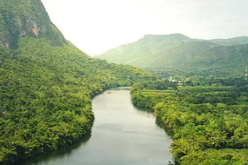 Singapore's Thryve.Earth raises $2.6M in funding round led by Openspace ...