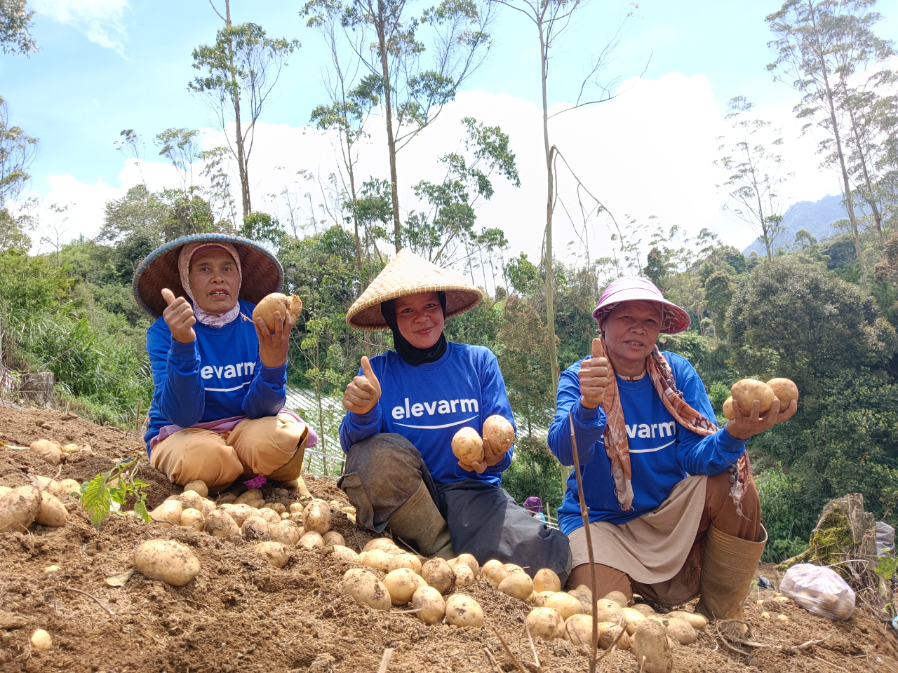 Indonesia's Elevarm secures $2.6M in seed funding to empower ...