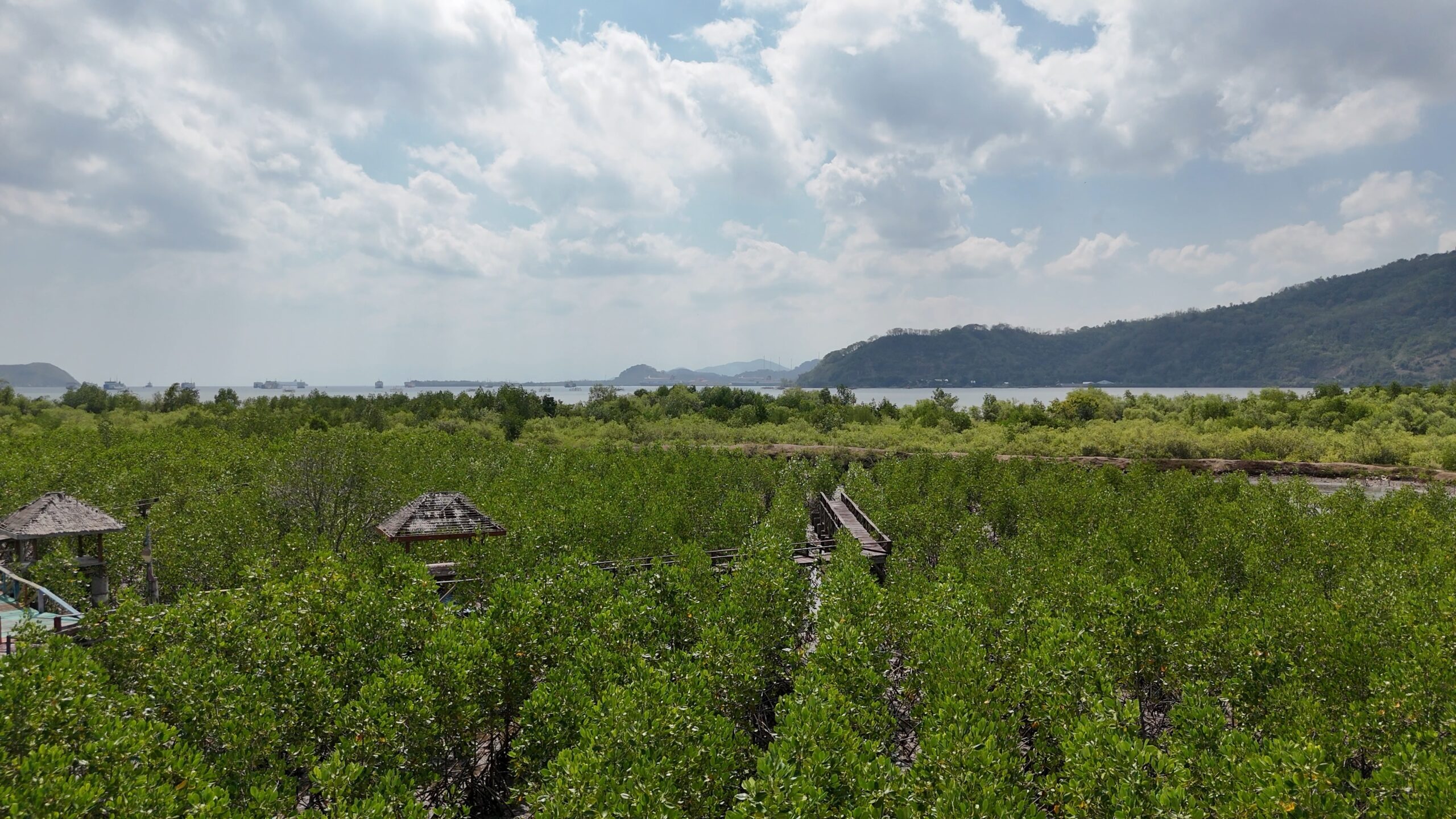 Conservation International Ventures gets $1.5M grant from Coca-Cola ...