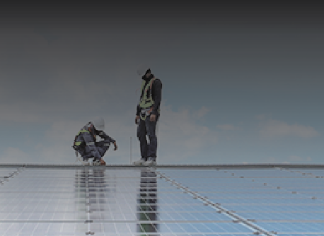 Singapore's BECIS raises $53M to support growth in solar, bioenergy and ...