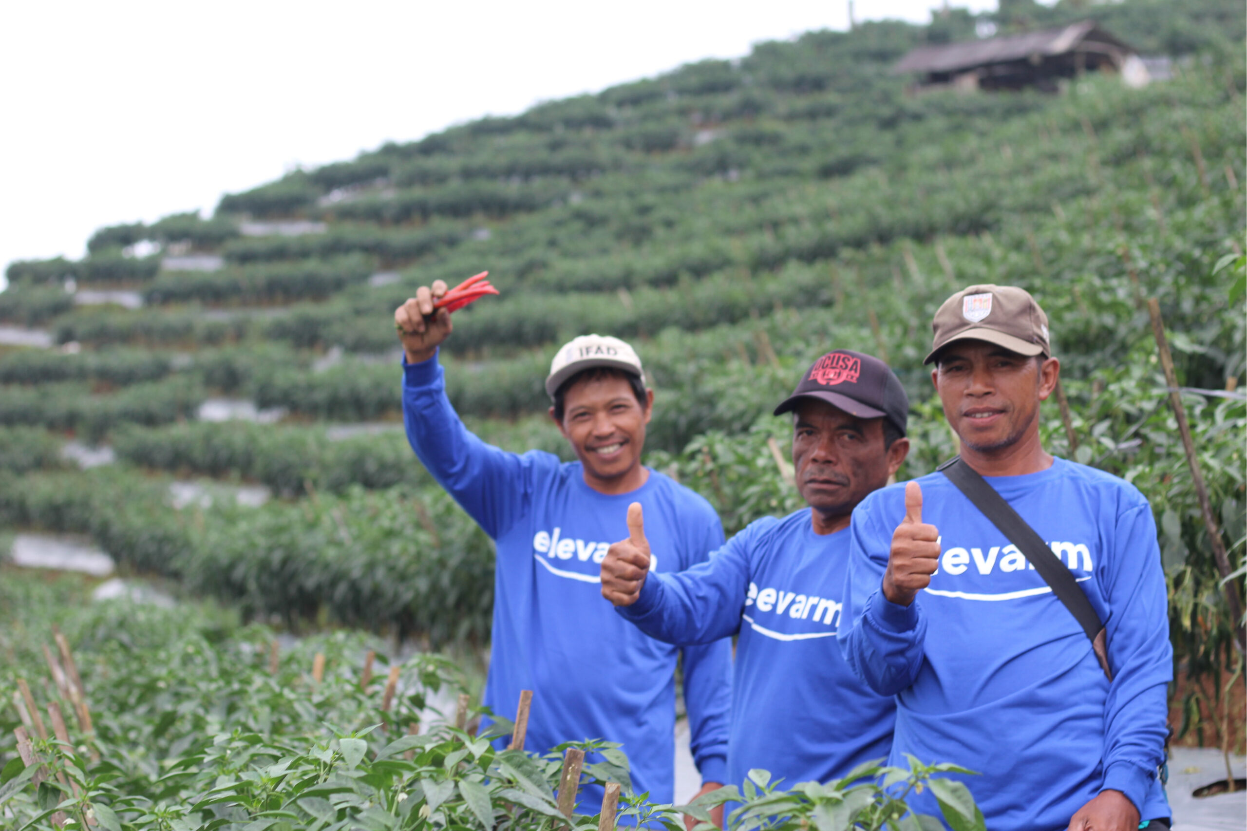 Indonesia's Elevarm raises $4.25M in Pre-Series A funding led by Intudo ...