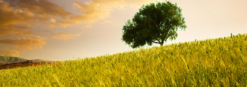 Malaysia's EXSIM cancels Aperia data center project - TNGlobal