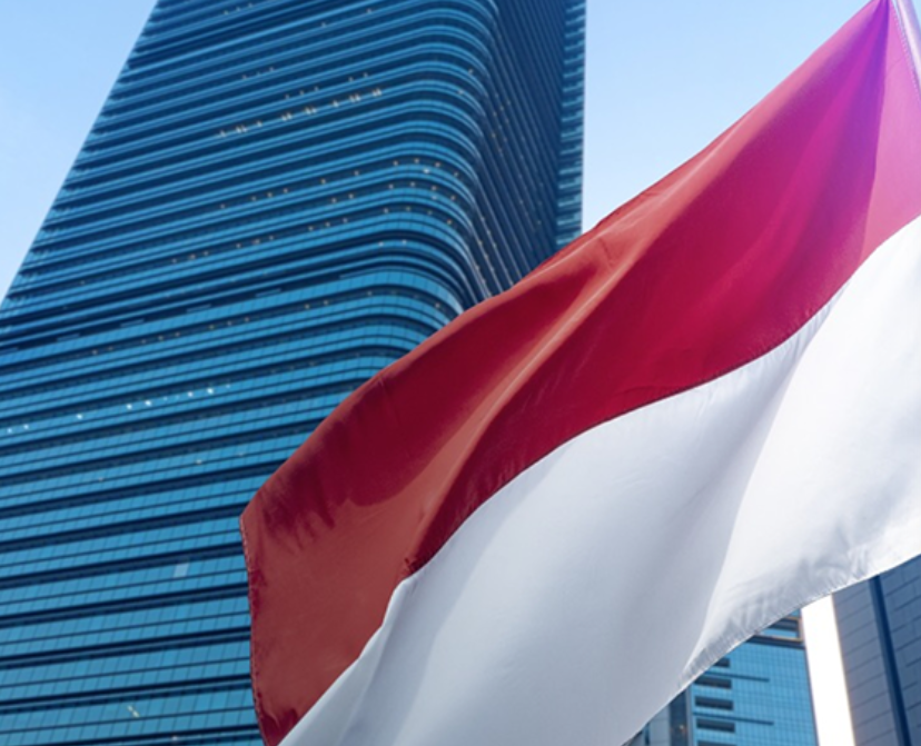 Danantara partners China's GEM for $1.4B HPAL nickel facility in ...